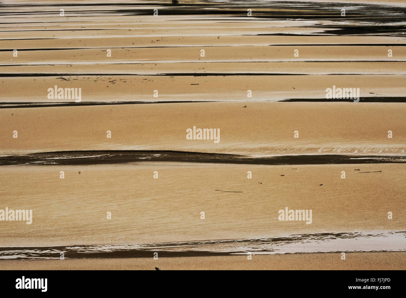 Dry patches hi-res stock photography and images - Alamy
