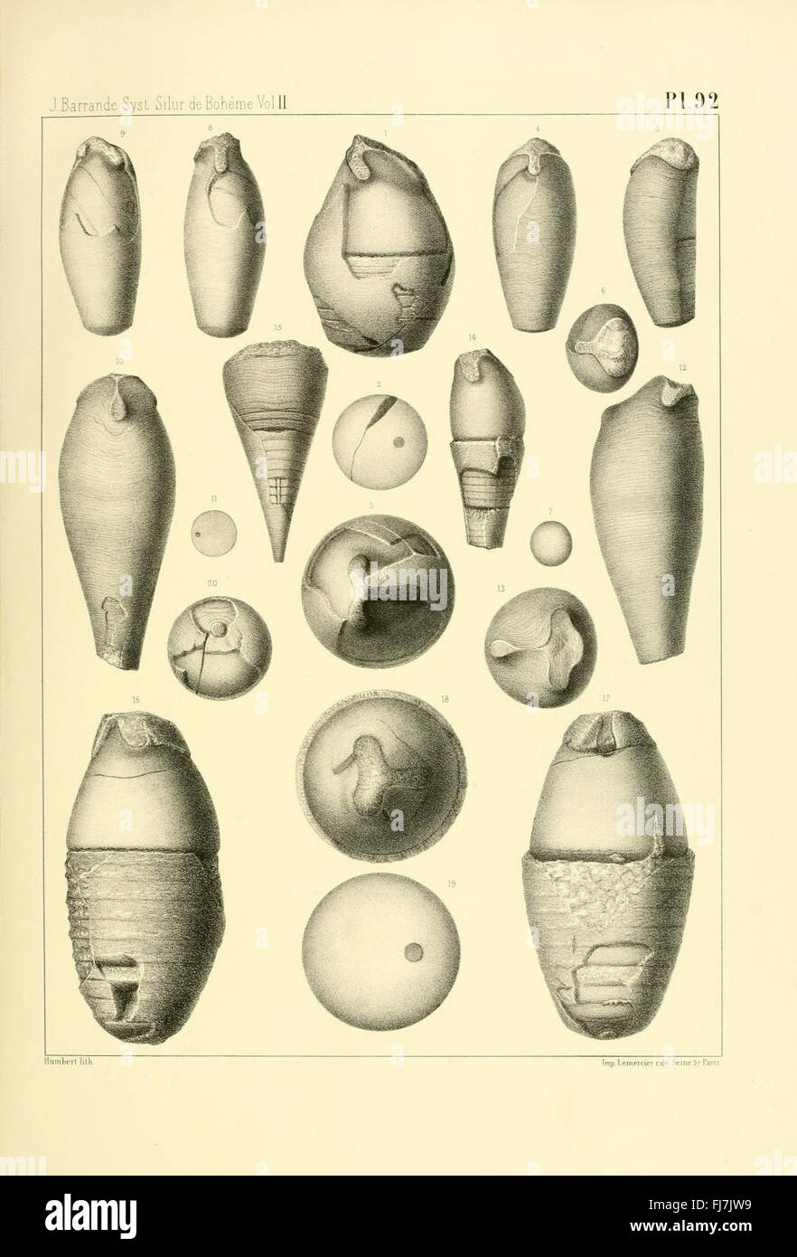 Silurian System of Central Bohemia, Fossil Studies, Harvard University ...