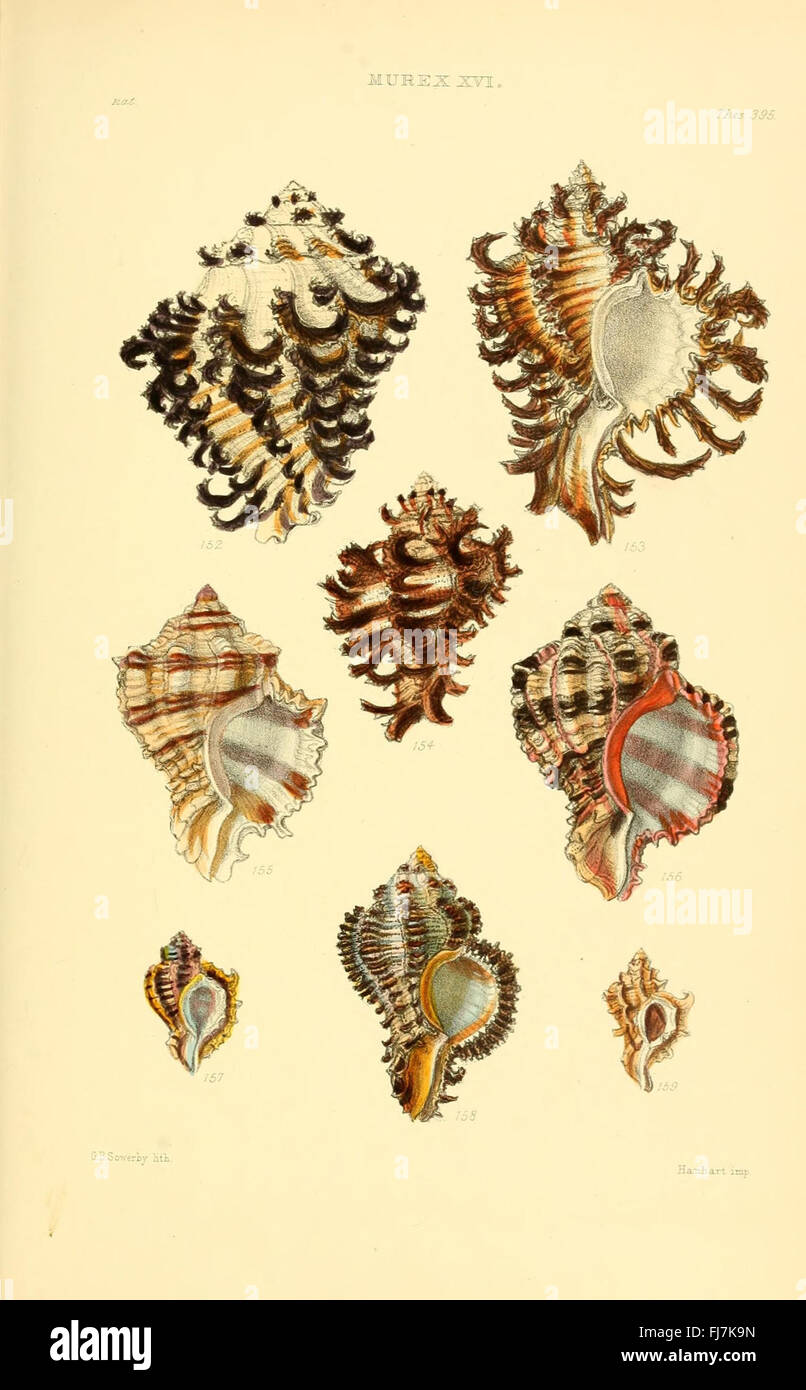 Monographs books hi-res stock photography and images - Alamy