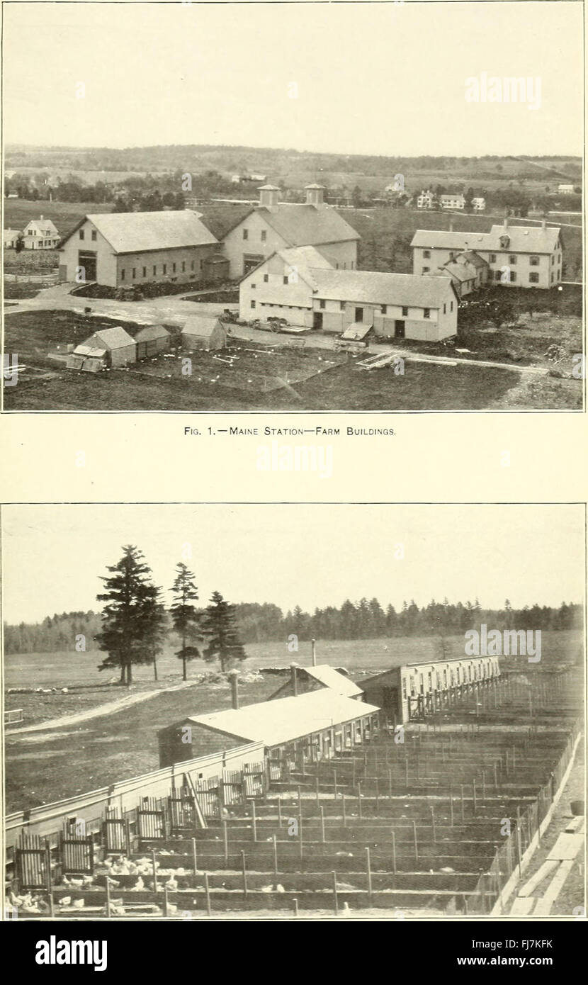 The agricultural experiment stations in the United States (1900 Stock ...