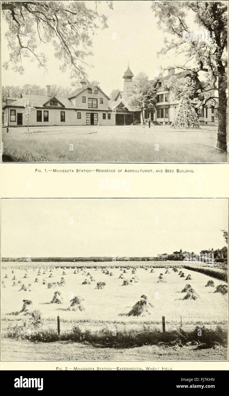 The agricultural experiment stations in the United States (1900 Stock ...