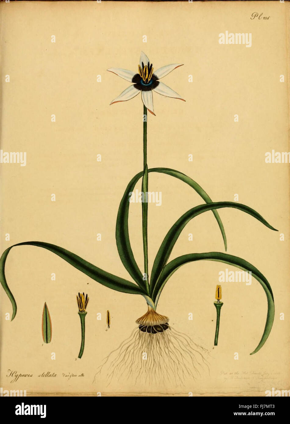 A scientific botanical repository featuring newly discovered and rare ...