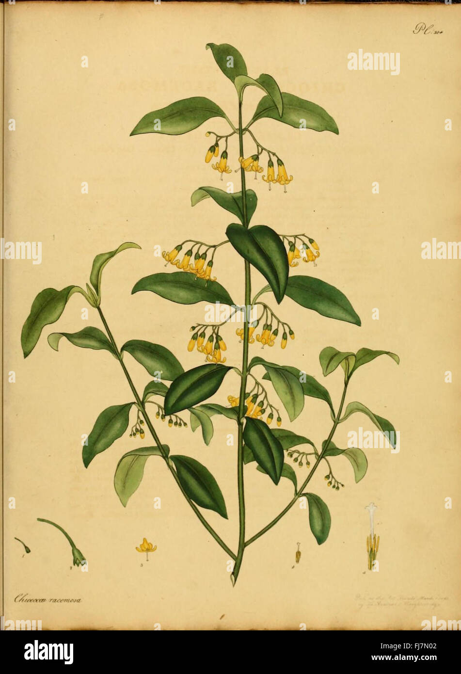 A scientific botanical repository featuring newly discovered and rare ...