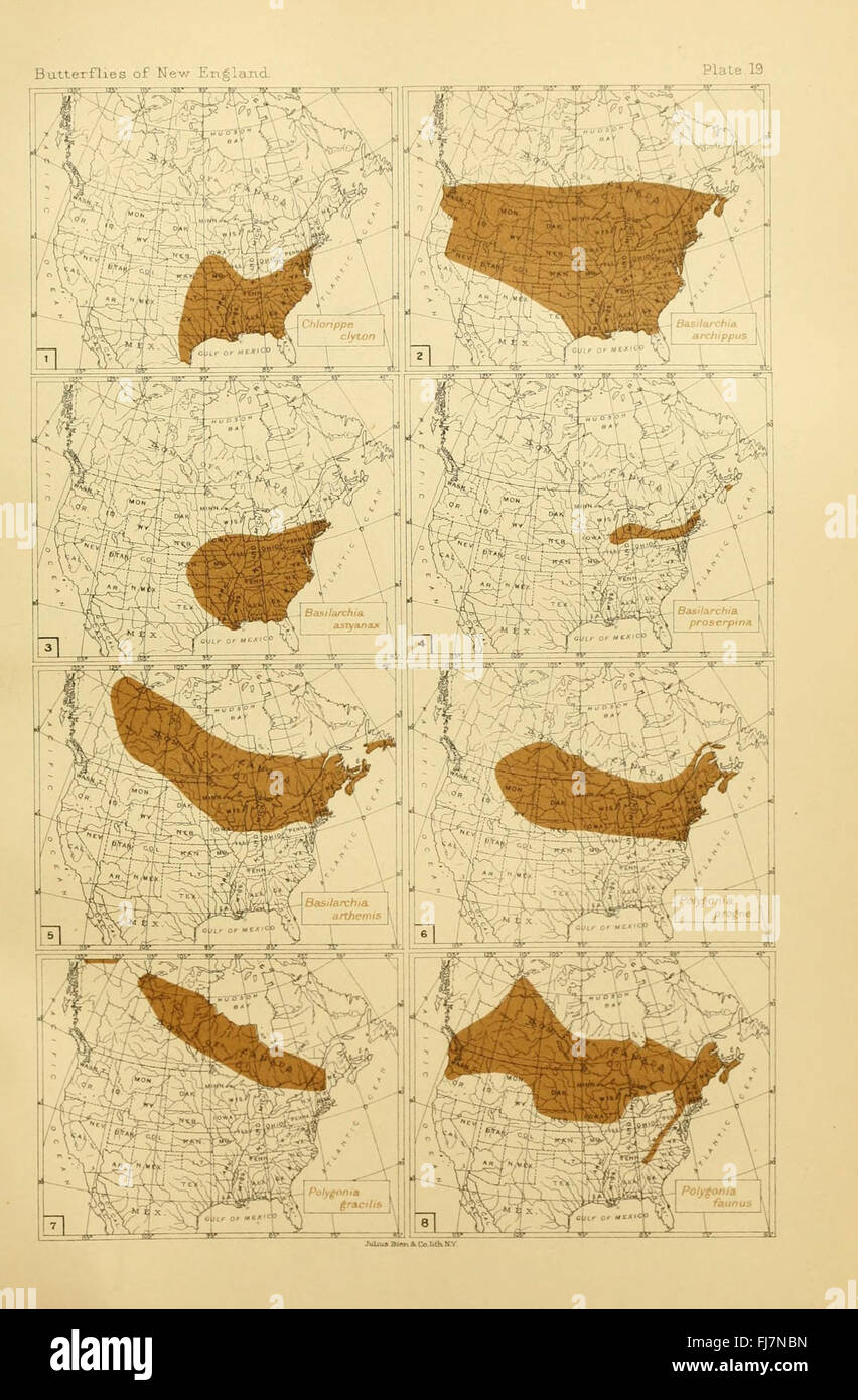 Butterflies of the Eastern United States and Canada - A Guide to ...