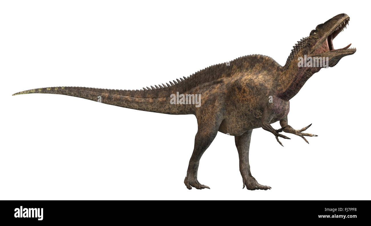 Acrocanthosaurus Cut Out Stock Images & Pictures - Alamy