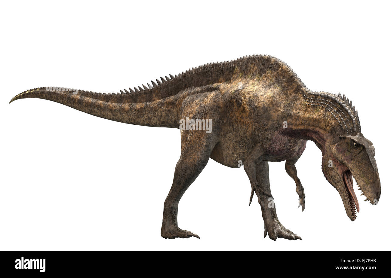 Acrocanthosaurus High Resolution Stock Photography and Images - Alamy