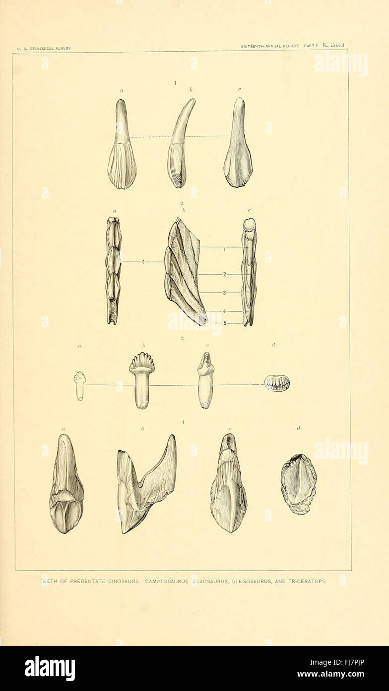 A comprehensive study on the dinosaurs that once roamed North America ...