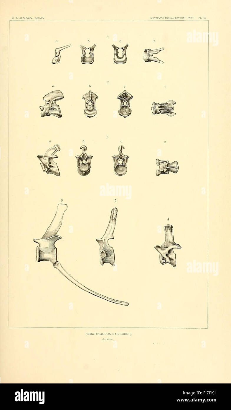 An illustrated work documenting the various dinosaur species discovered ...