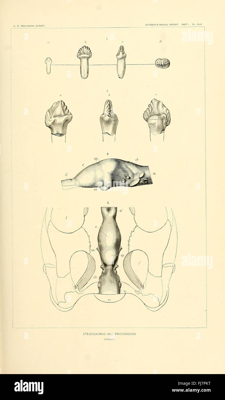 A comprehensive study of dinosaur species that inhabited North America ...