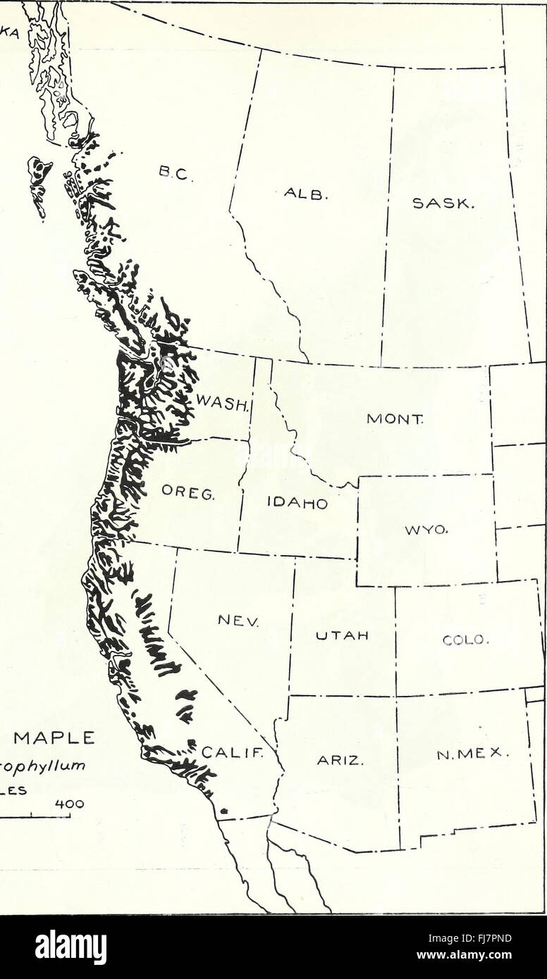 A study on the distribution of important forest trees in the United ...