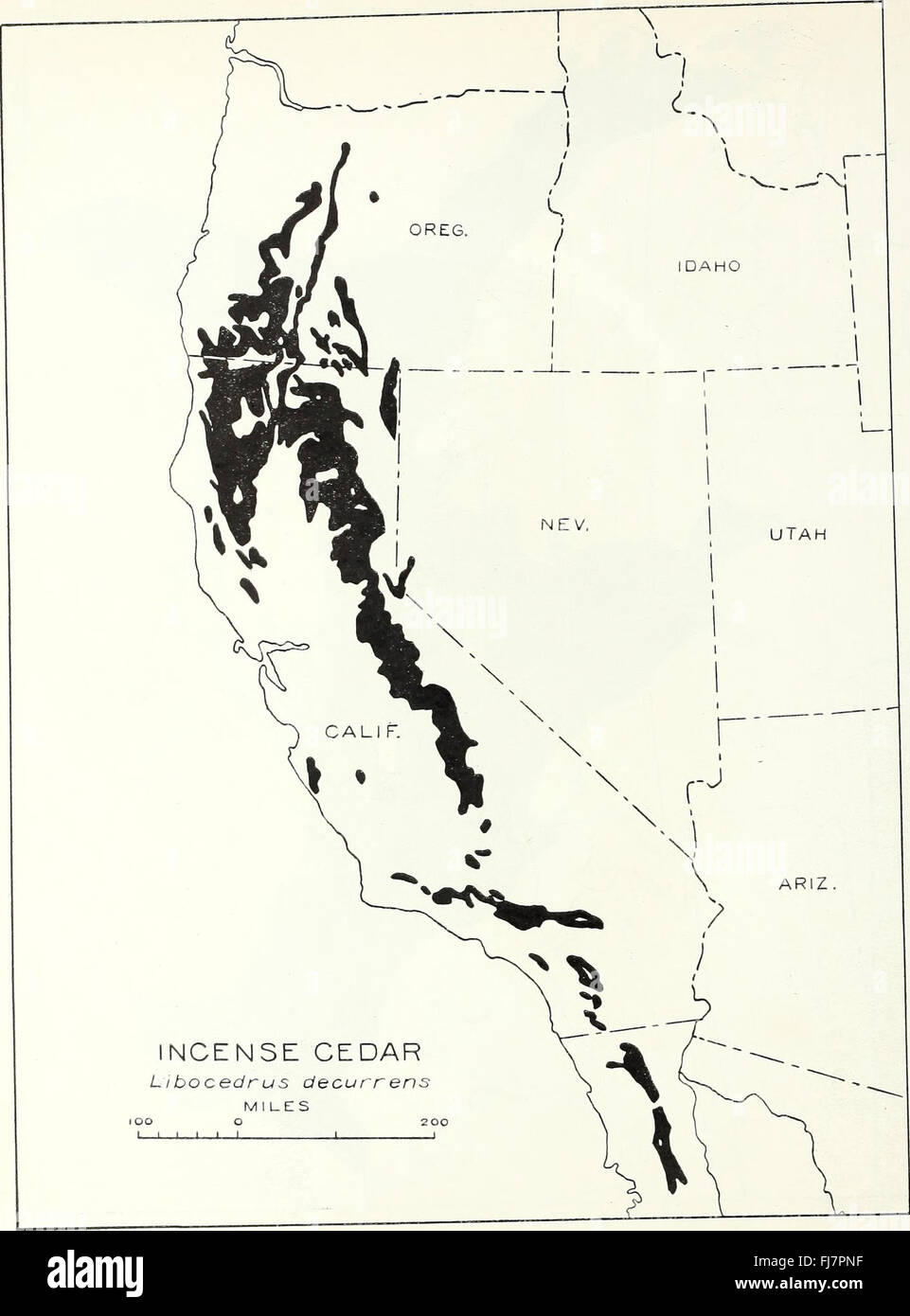 A report documenting the geographic distribution of key forest tree ...
