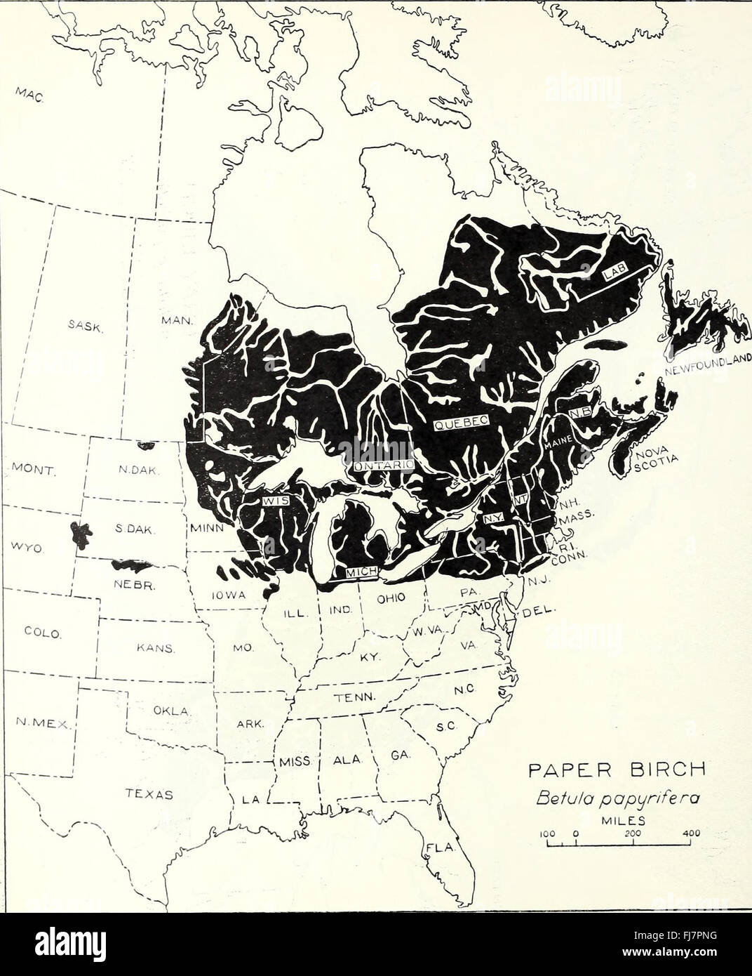 Distribution of Forest Trees in the U.S., focusing on Paper Birch ...