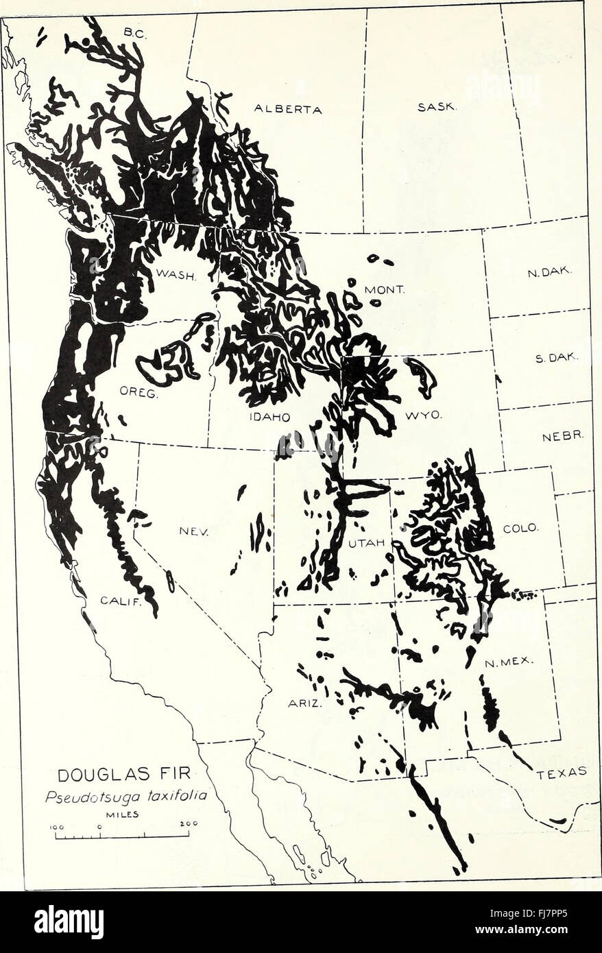 The distribution of important forest trees in the U.S., with a focus on ...