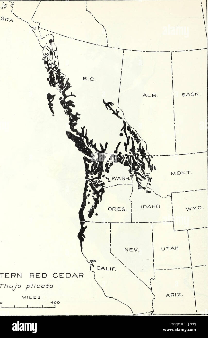 A 1938 study documenting the distribution of important forest trees in ...
