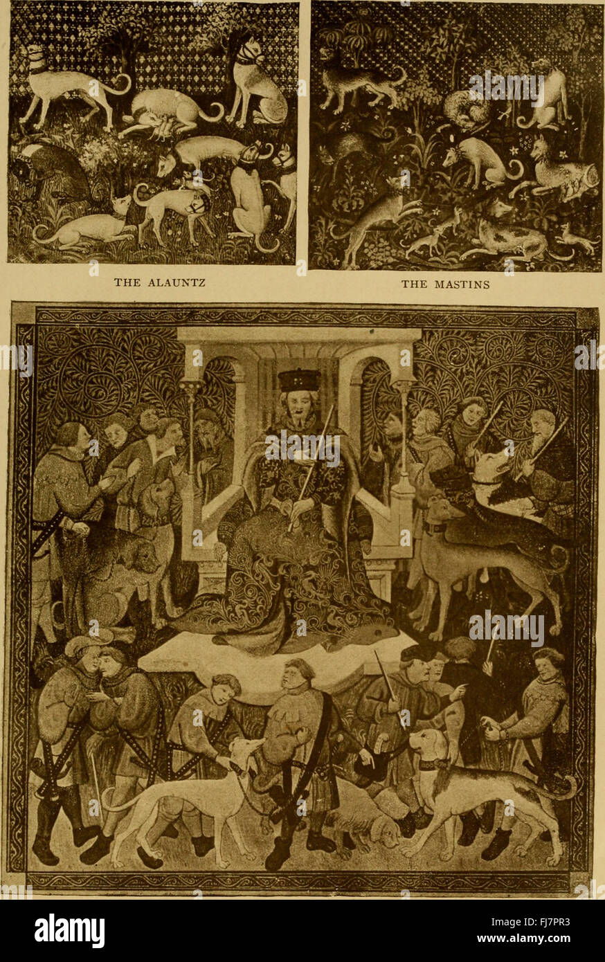 A popular historical overview of dogs, covering their breeds, care, and ...