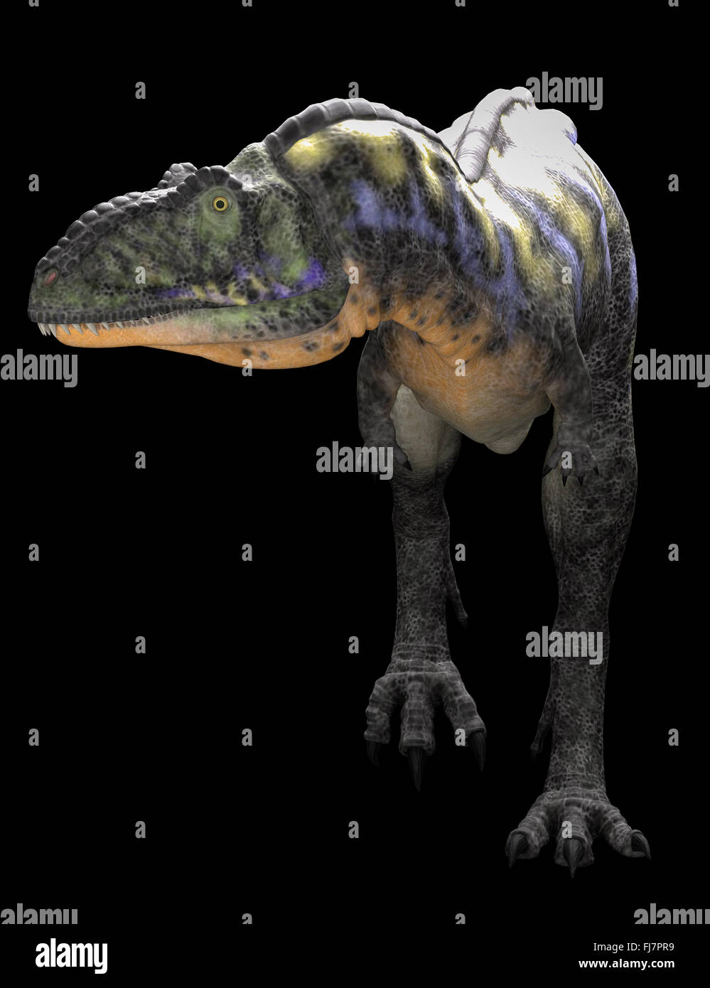Aucasaurus hi-res stock photography and images - Alamy
