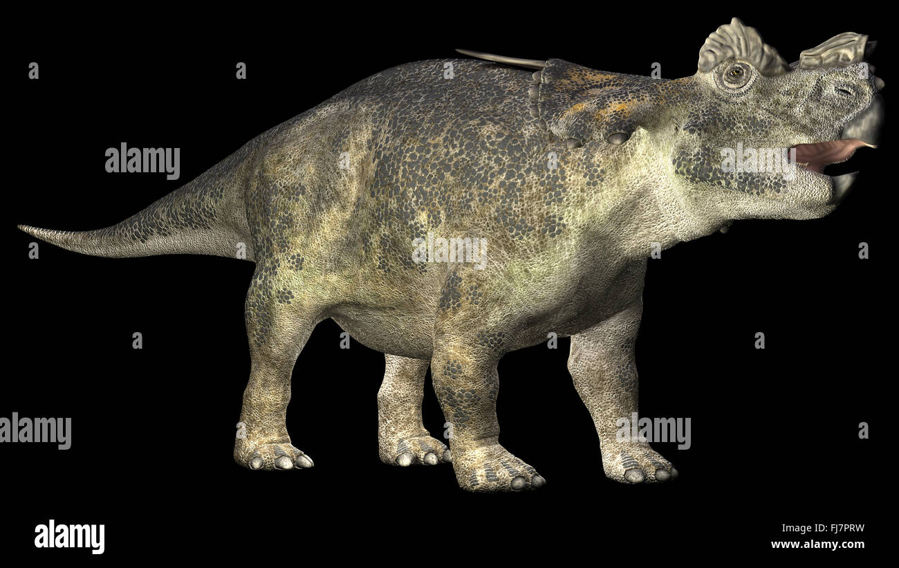 Achelousaurus hi-res stock photography and images - Alamy