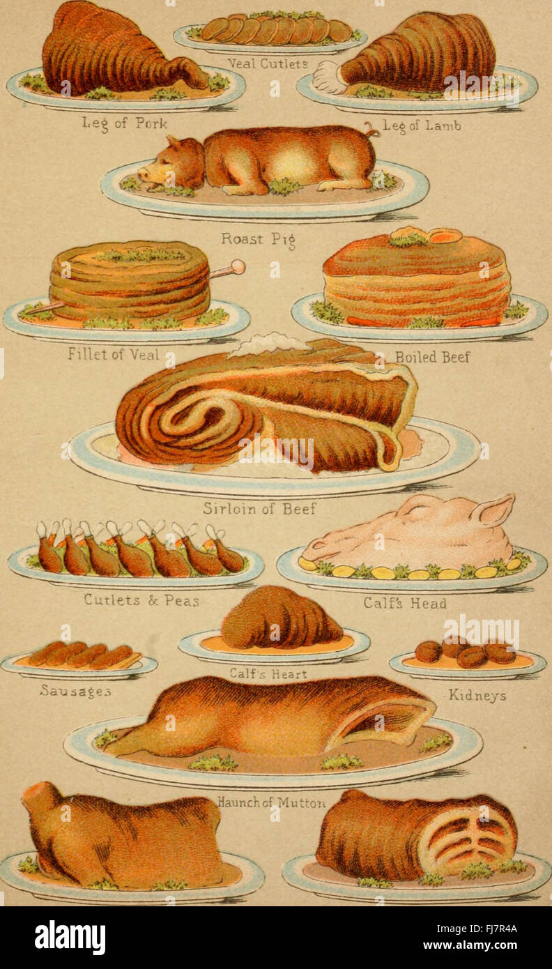 The Everyday Cook and Recipe Book - Containing More Than Two Thousand ...