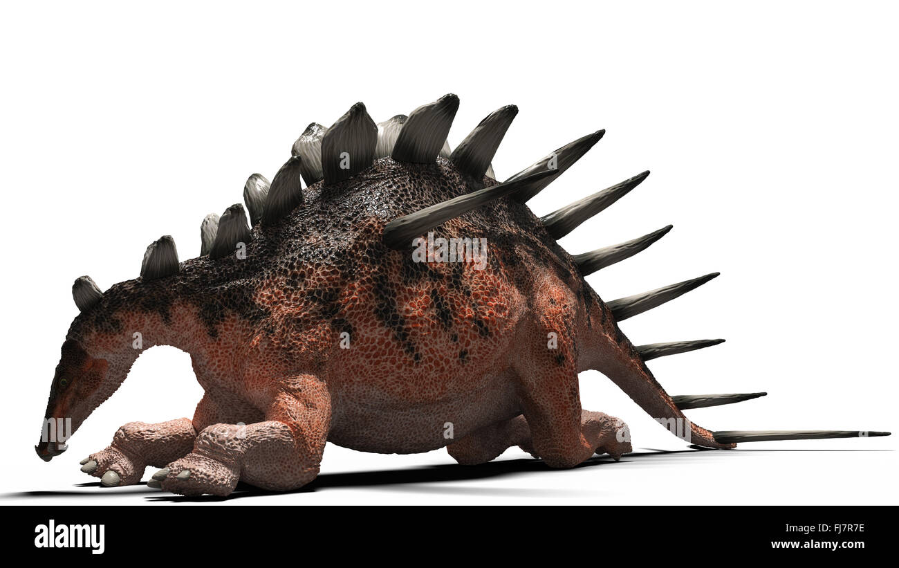 Kentrosaurus hi-res stock photography and images - Alamy