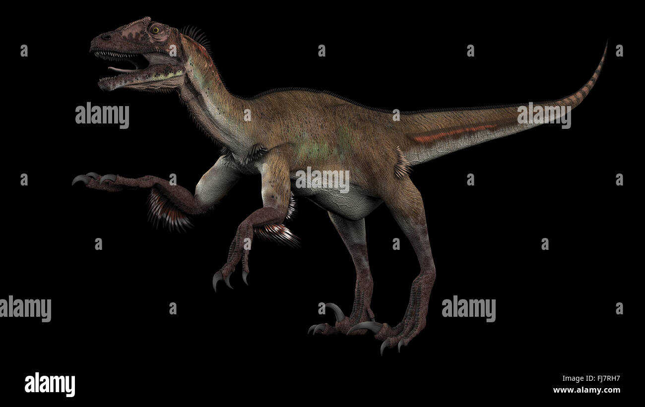 Dinosaur raptor hi-res stock photography and images - Alamy