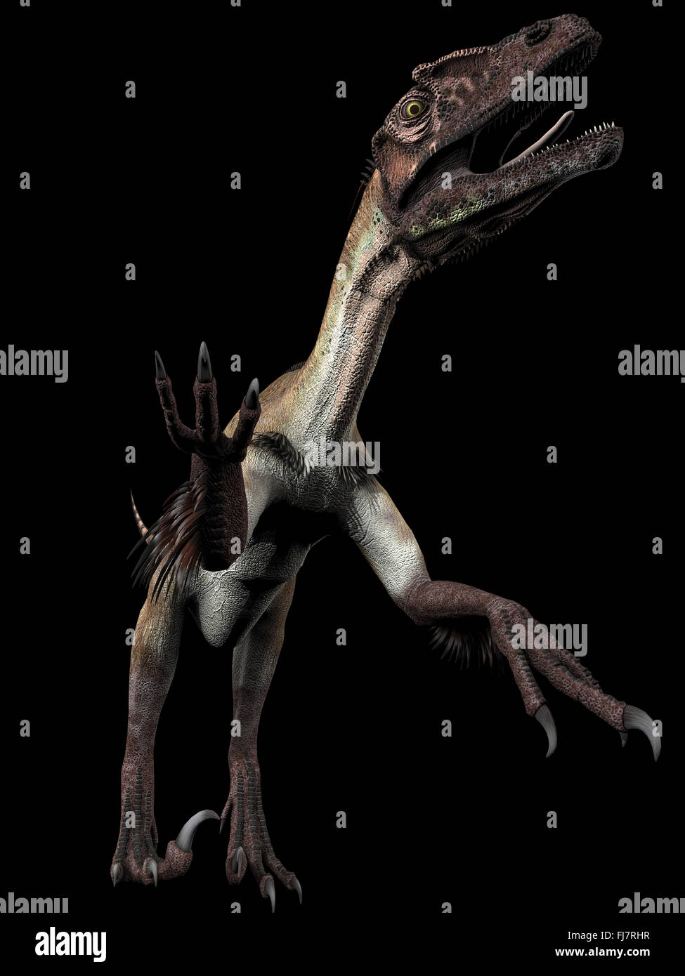 Velociraptor mongoliensis hi-res stock photography and images - Alamy