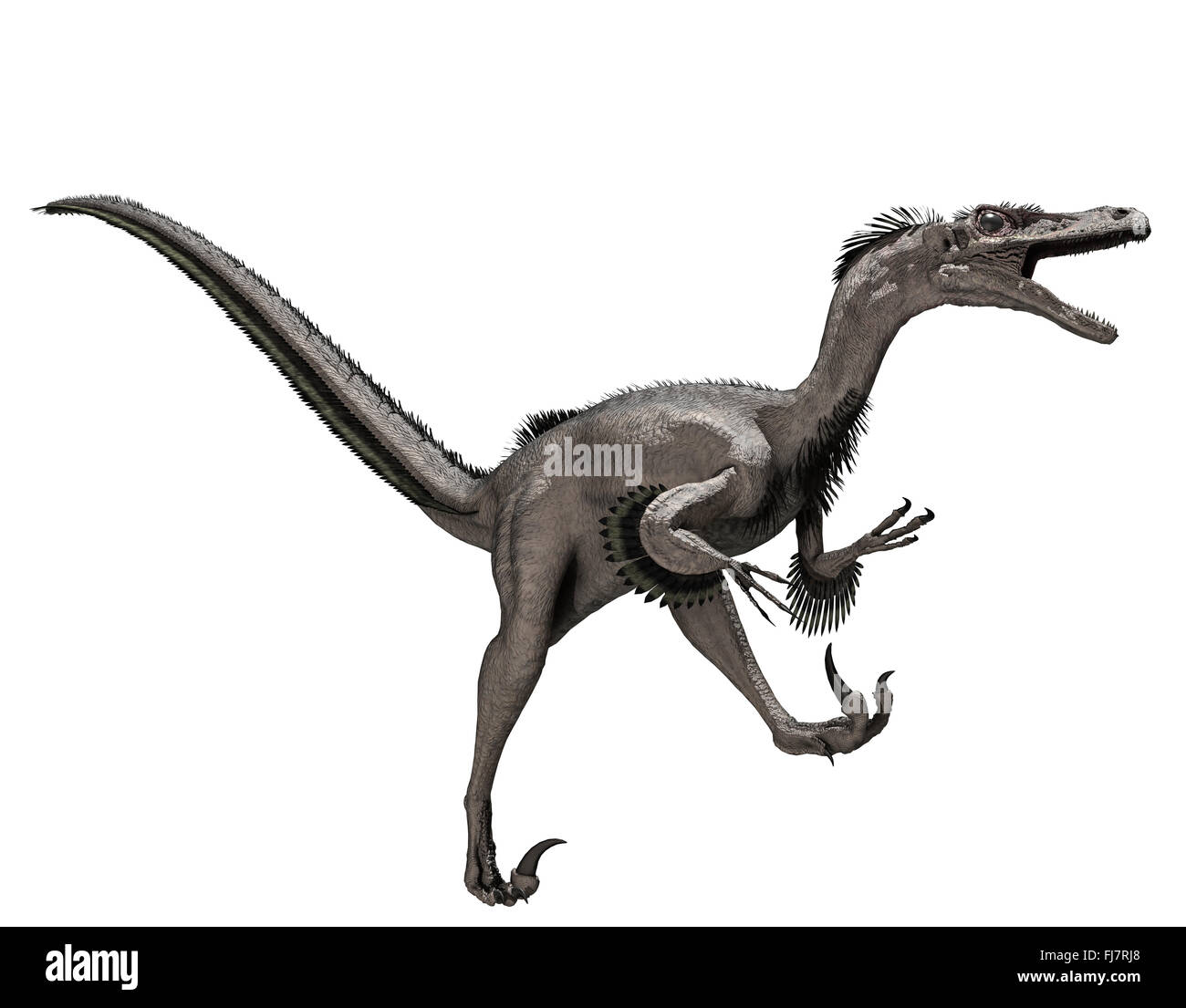 Raptor jurassic Cut Out Stock Images & Pictures - Alamy