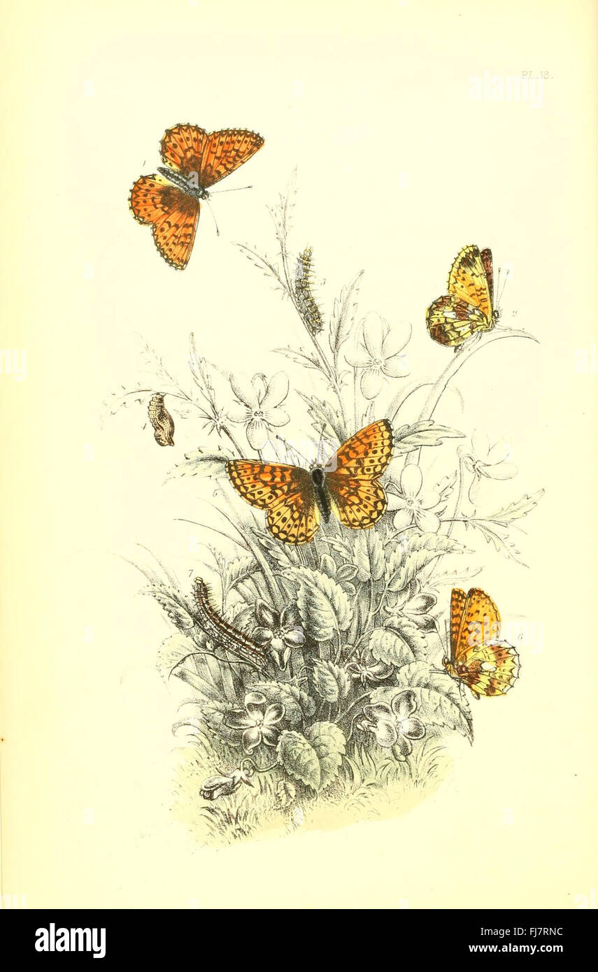 An illustrated guide to the genera and species of British butterflies ...