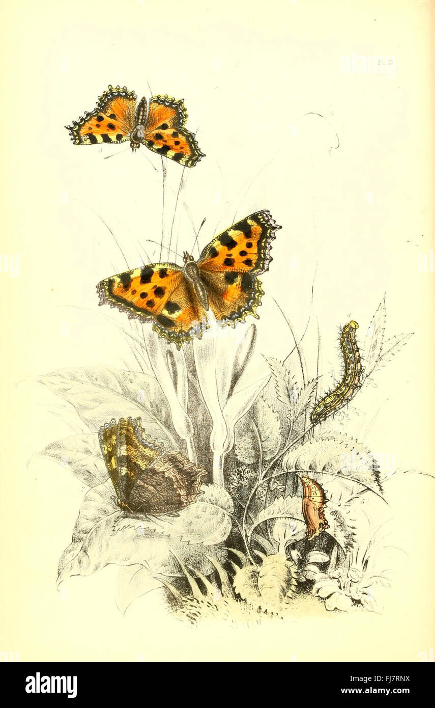 A comprehensive guide to the identification and classification of ...