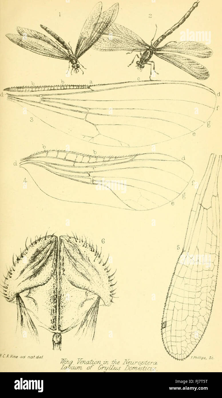 A scientific journal dedicated to the fields of microscopy and natural ...