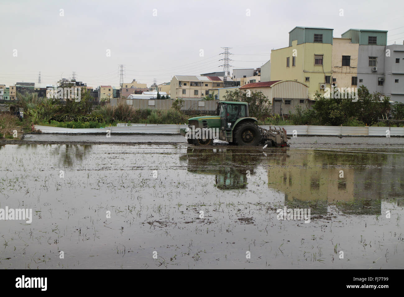 Modern Rice Planter in Taiwan,Farmer drive tractor machine Work The ...