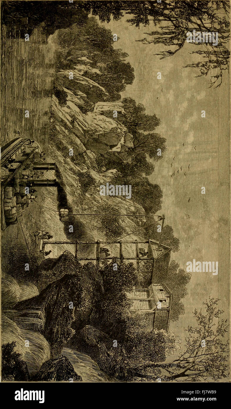 The Norfolk Virginian's Annual for 1884, featuring local events, news ...