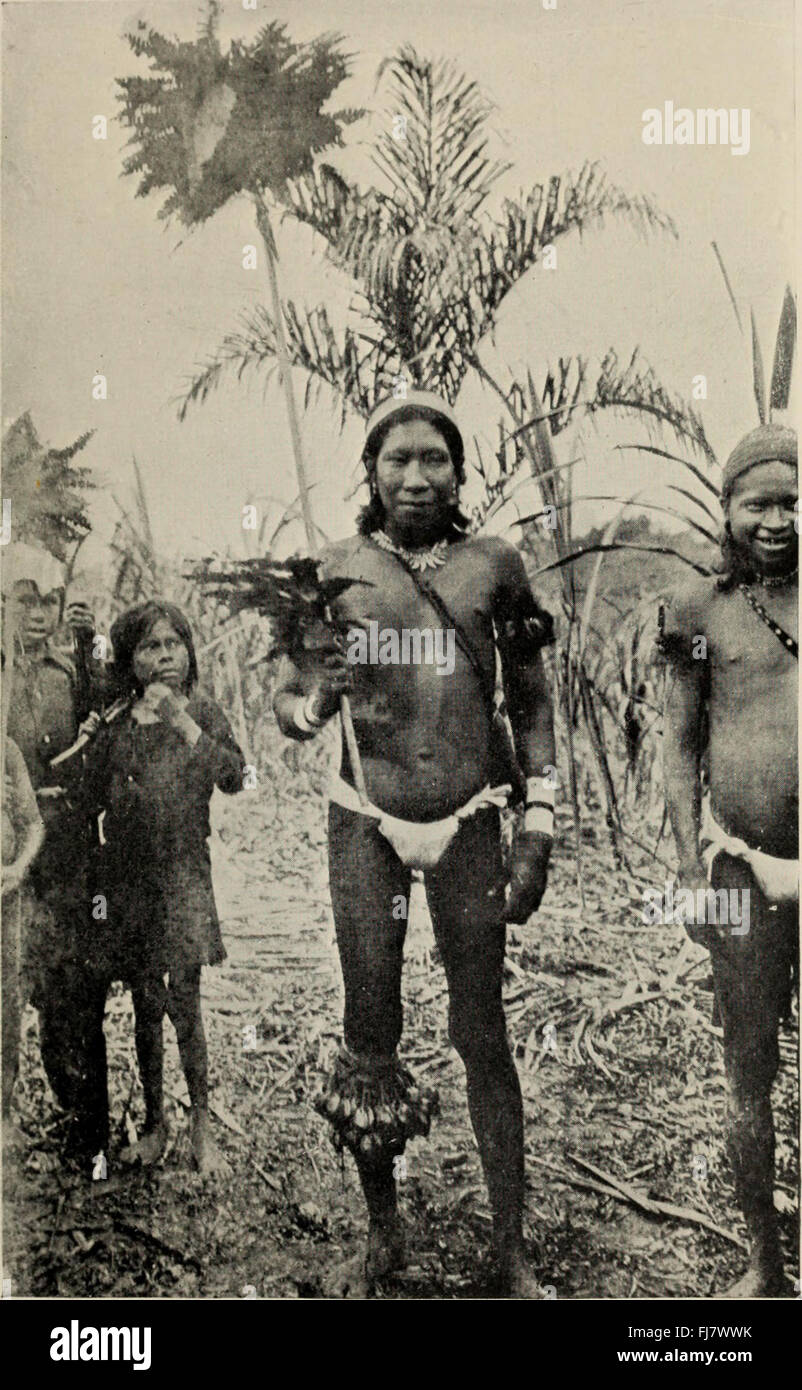 A historical account of a perilous journey through the Amazon ...