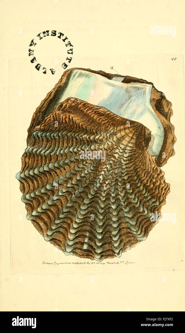A collection of various zoological findings and studies, showcasing ...