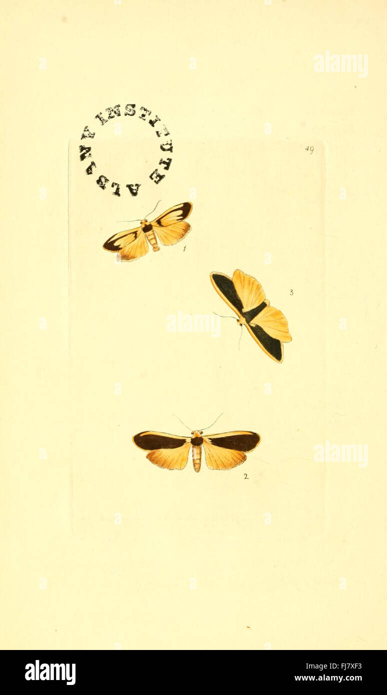 A collection of zoological illustrations and writings, featuring ...