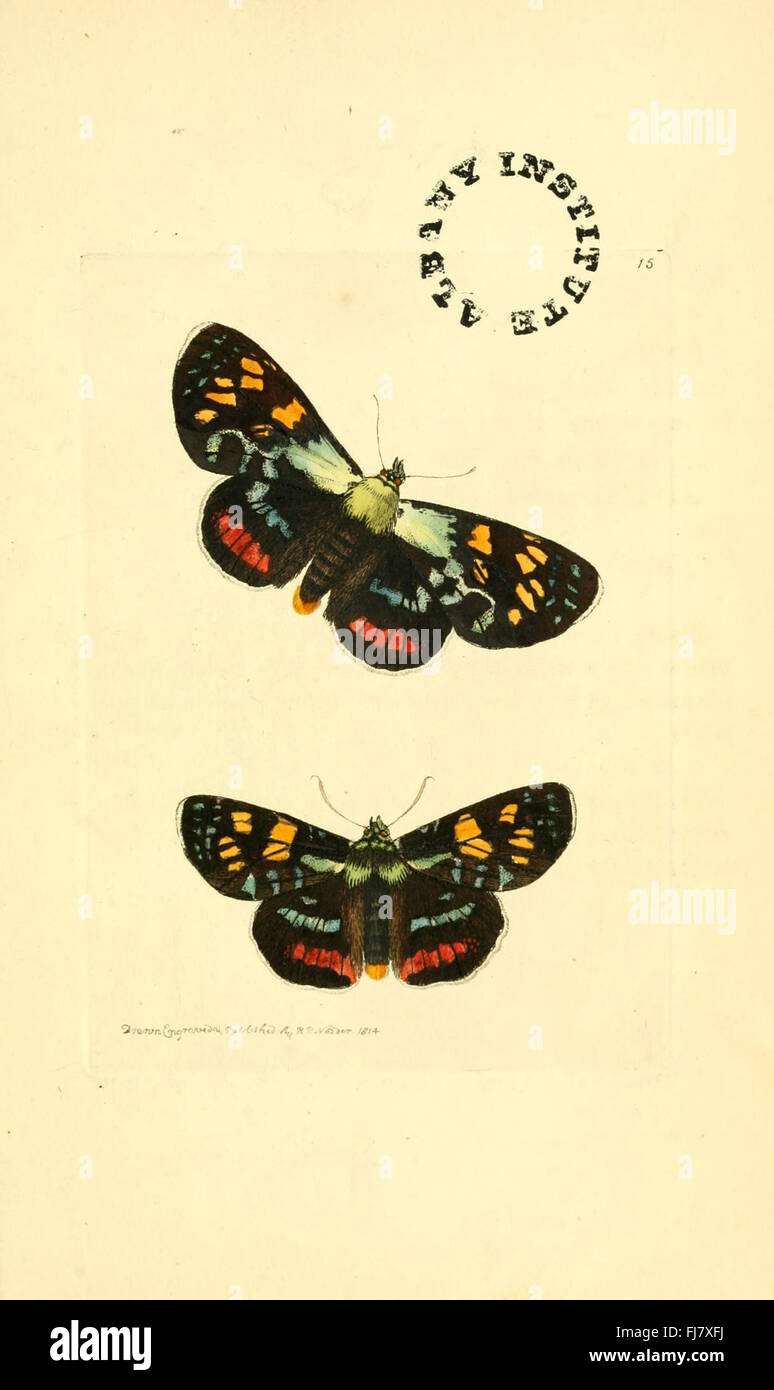 A collection of illustrations and descriptions of various animal ...