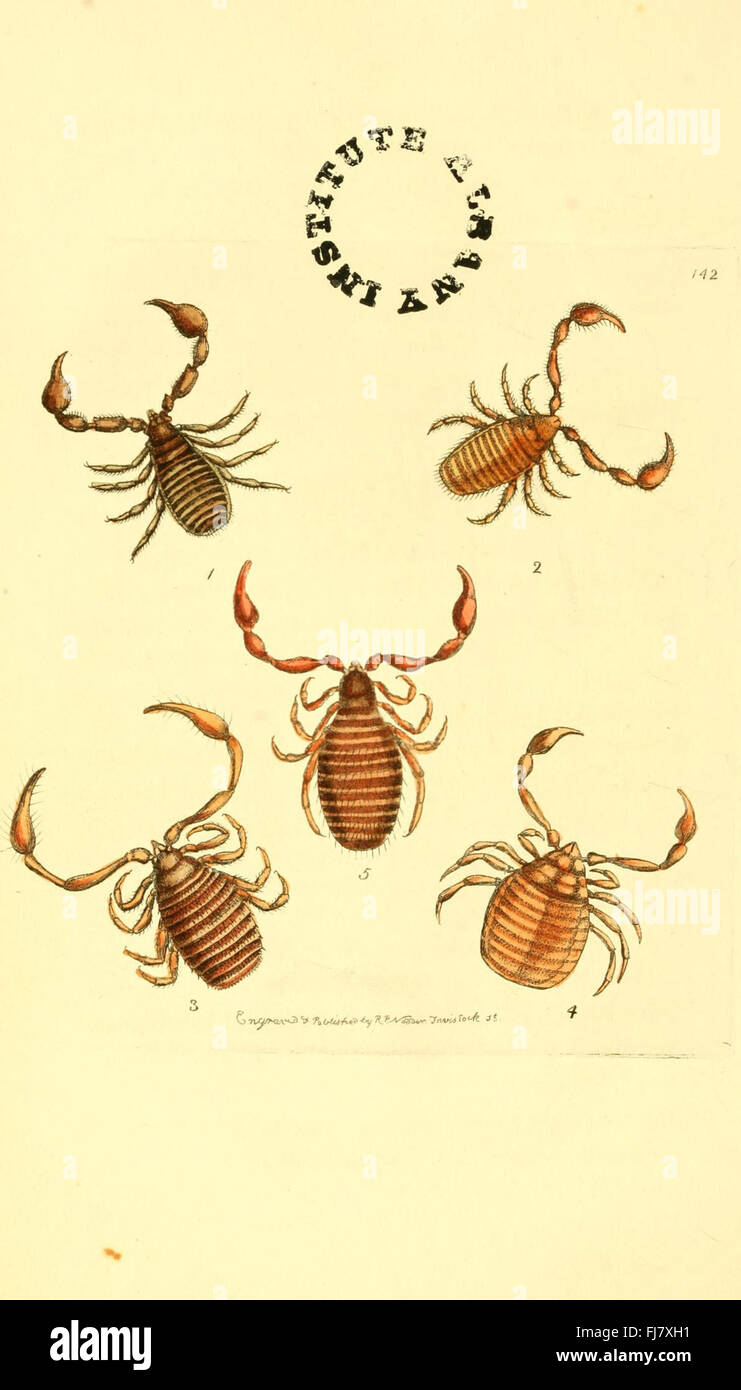 A zoological miscellany from the Smithsonian Institution featuring ...