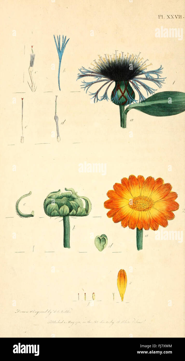 Eight plates hi-res stock photography and images - Alamy