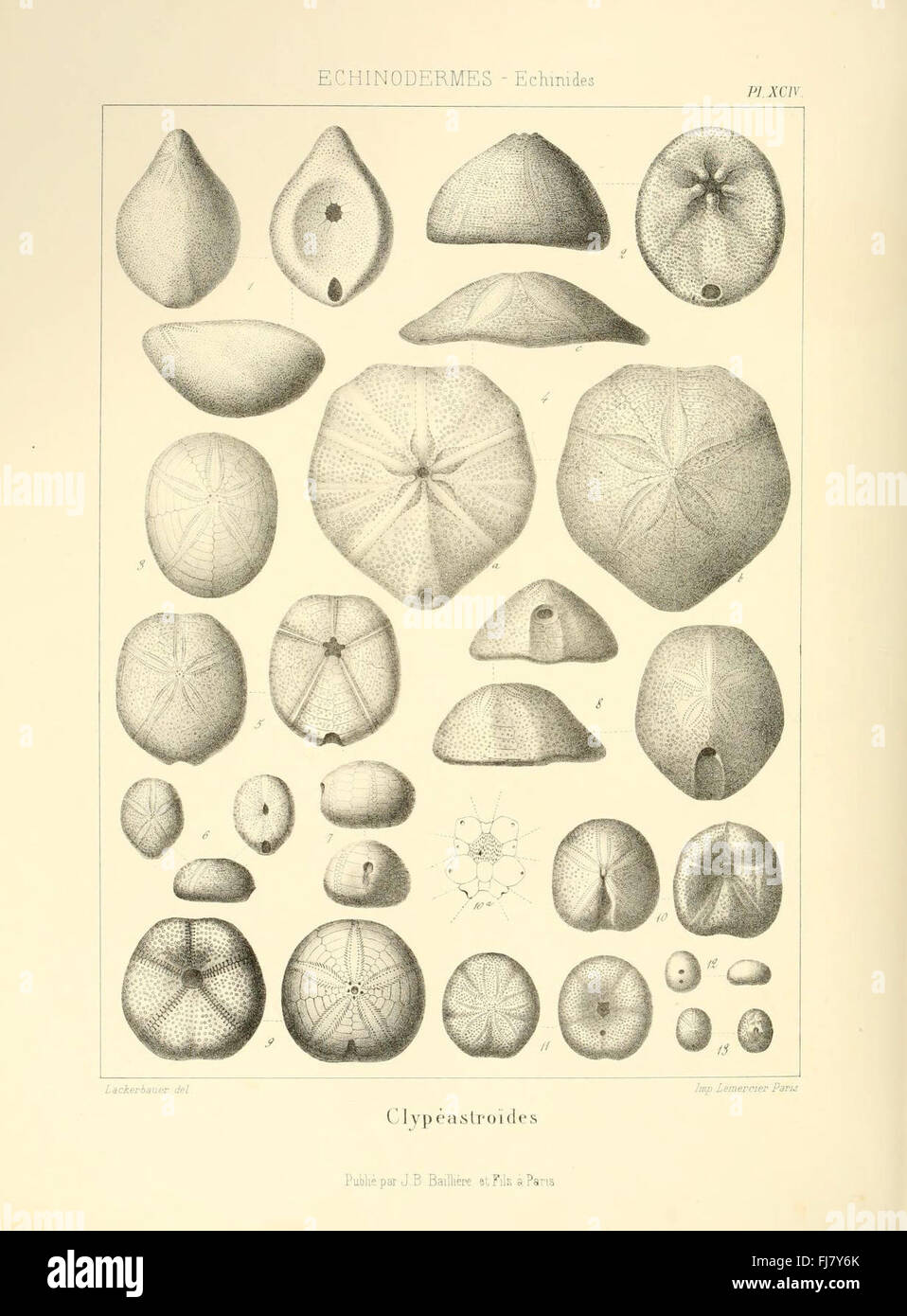 Xciv hi-res stock photography and images - Alamy