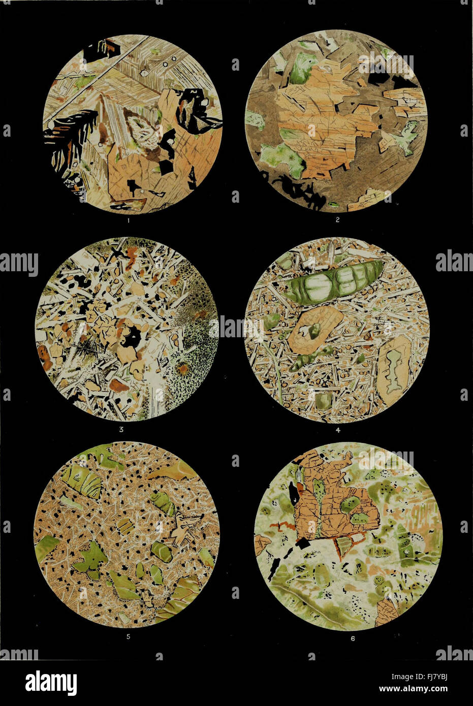 1880s journal hi-res stock photography and images - Alamy