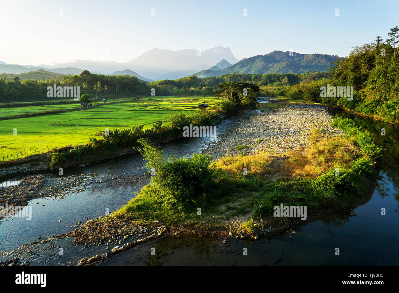 Beutiful Sabah North Borneo Malaysian landscape with rice field,river ...