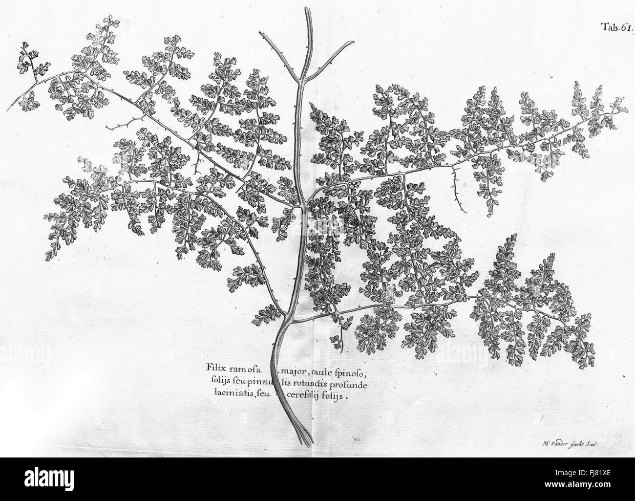 A historical travel account of the islands in the Caribbean ...