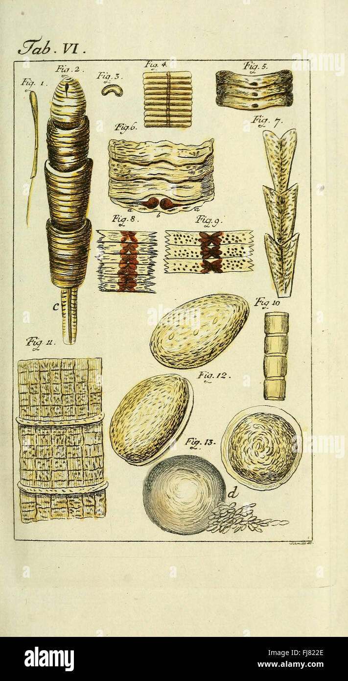 Scientific findings and nature research by the Berlin Society of ...