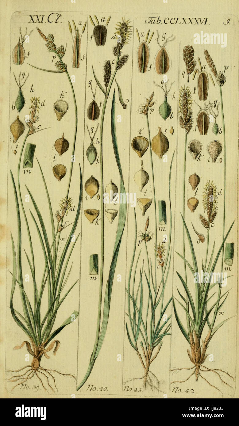 An early 19th-century work illustrating known and newly described ...