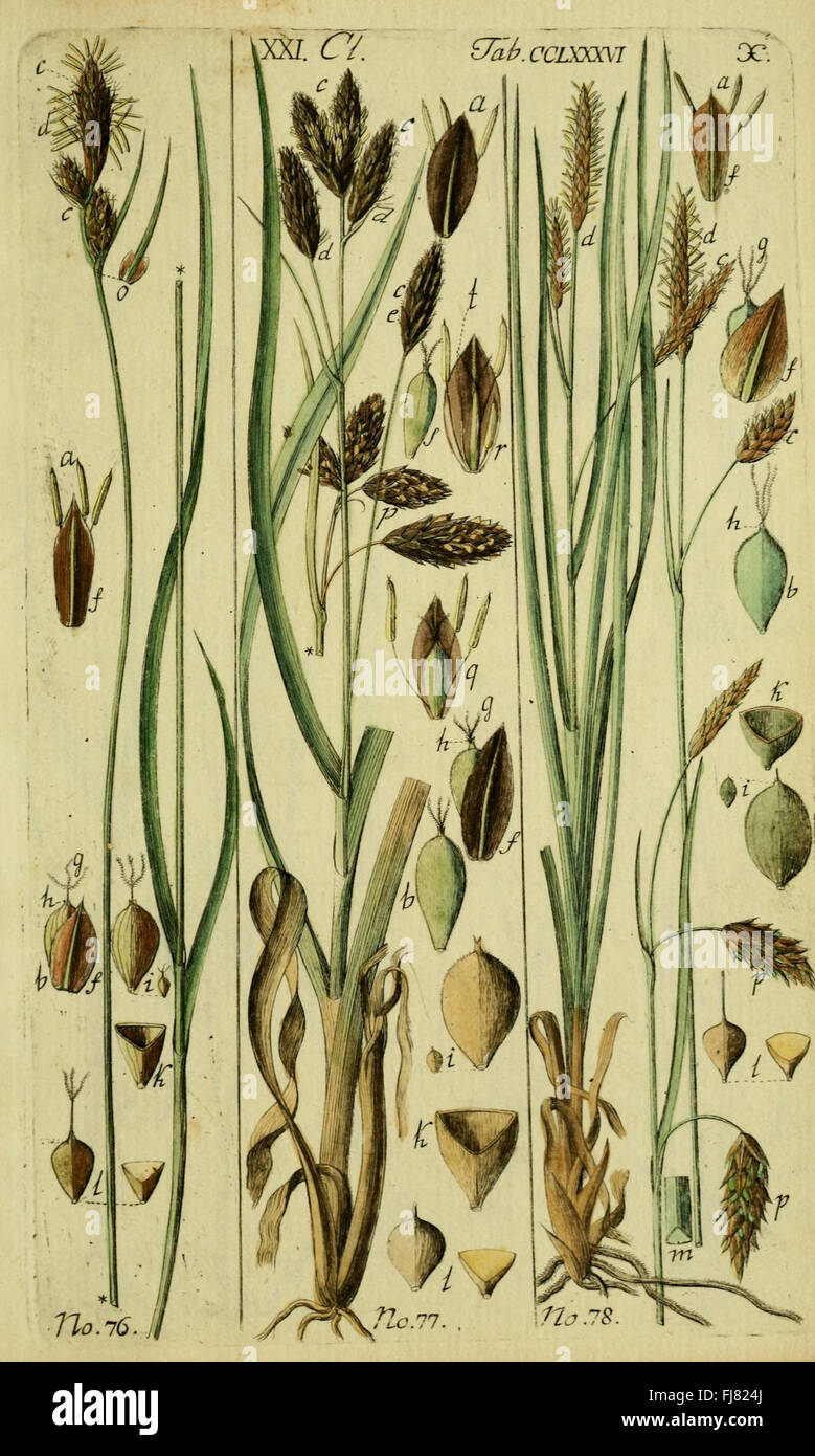 A detailed description and illustration of known and previously ...