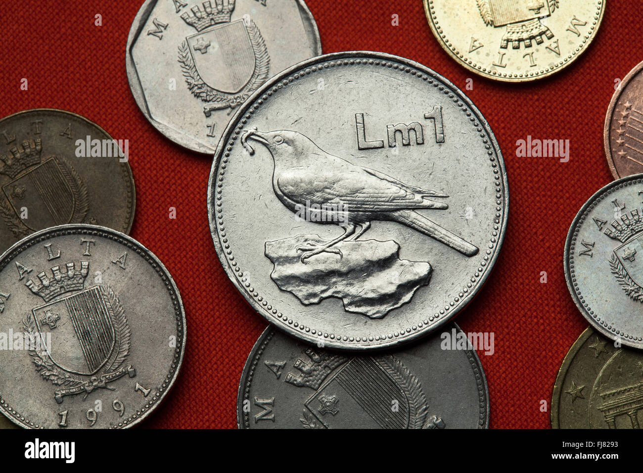 Coins of Malta. Blue rock thrush (Monticola solitarius) depicted in the ...