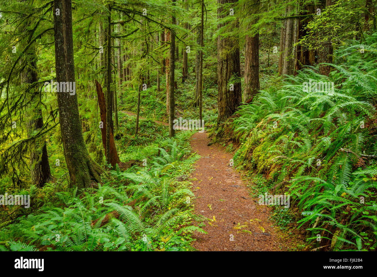 Coast Range Mountains High Resolution Stock Photography and Images - Alamy