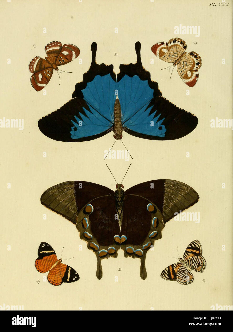 Aanhangsel van het werk, De uitlandsche kapellen (PL. CXXI ...