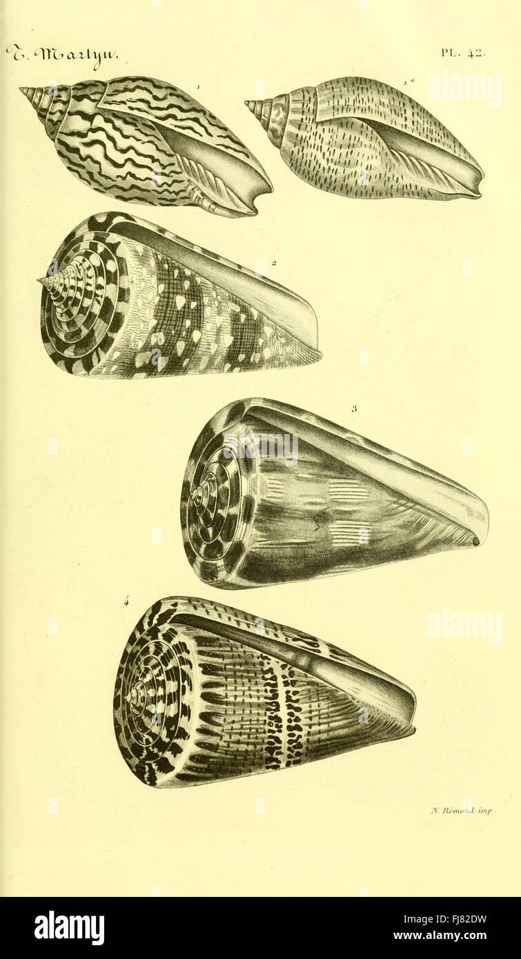 Catalogs and collections, Harvard University, MCZ, Ernst Mayr Library ...