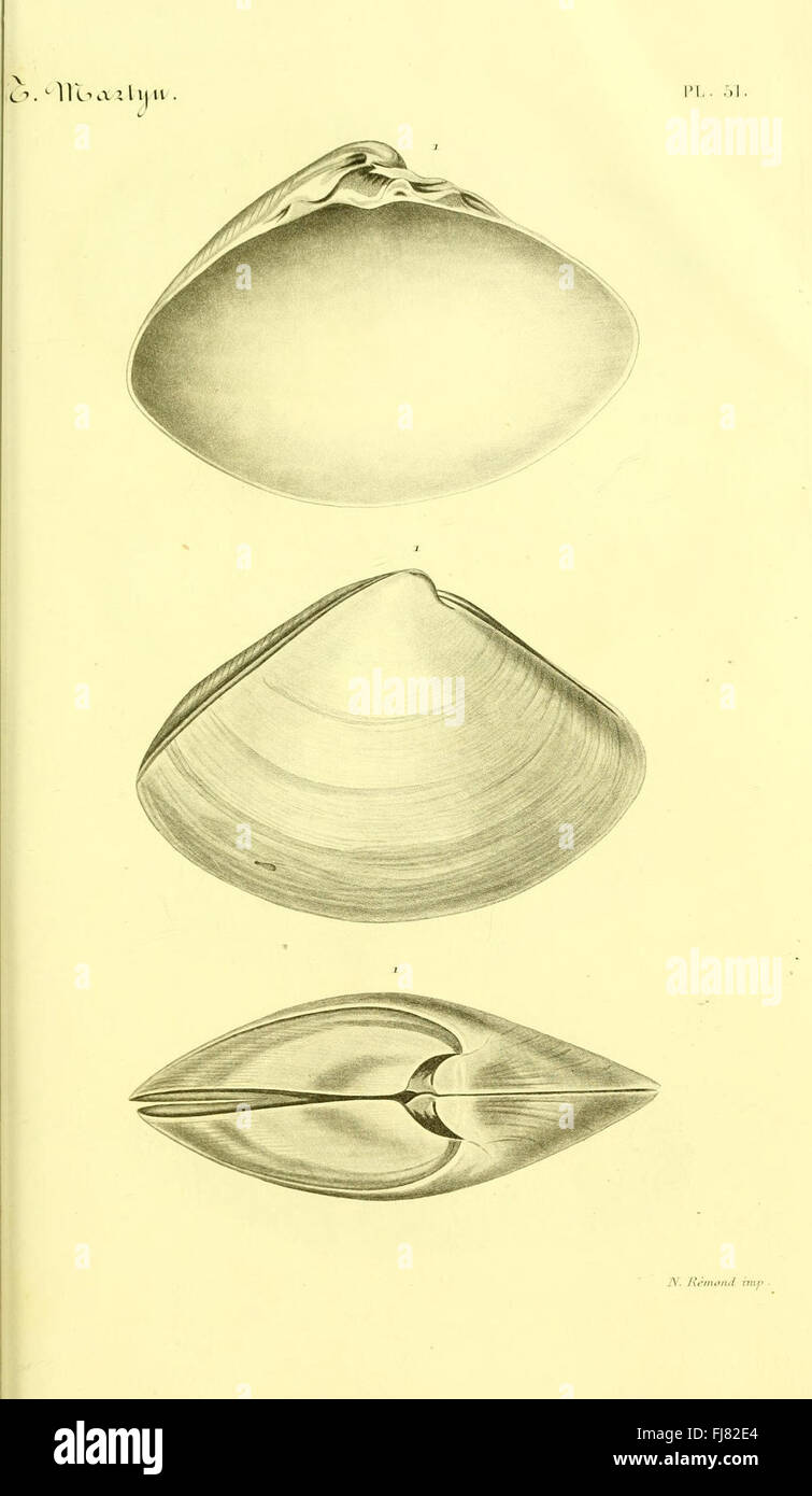 A catalog of shell collections, providing insights into mollusk ...