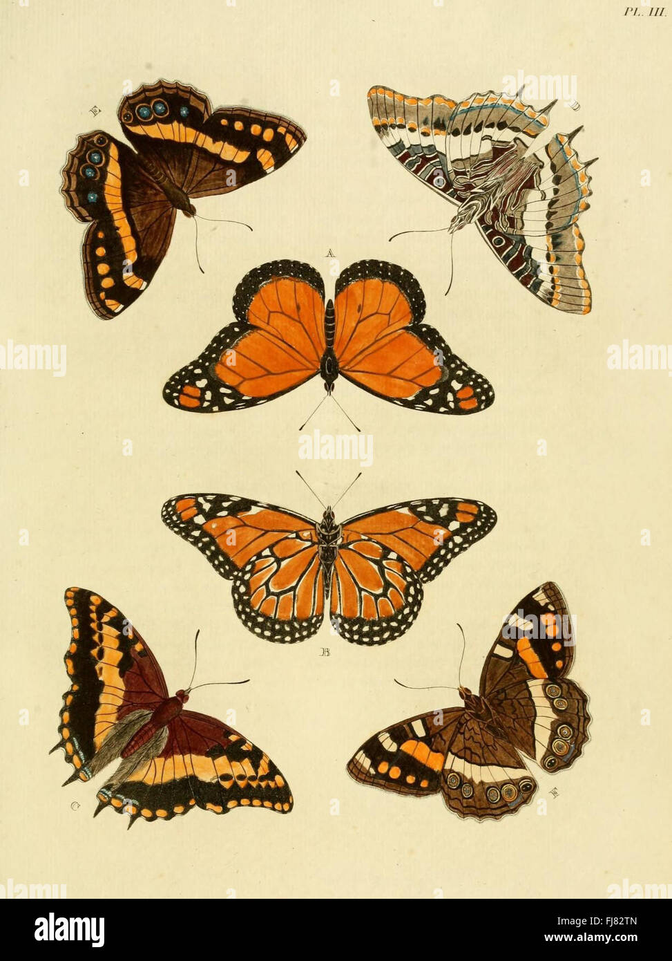 The Smithsonian Institution Libraries holds detailed catalogs of ...